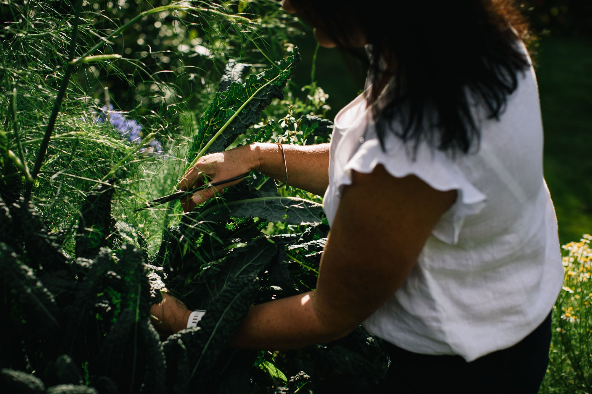 Anna's April Garden Journal – Hiatt & Co