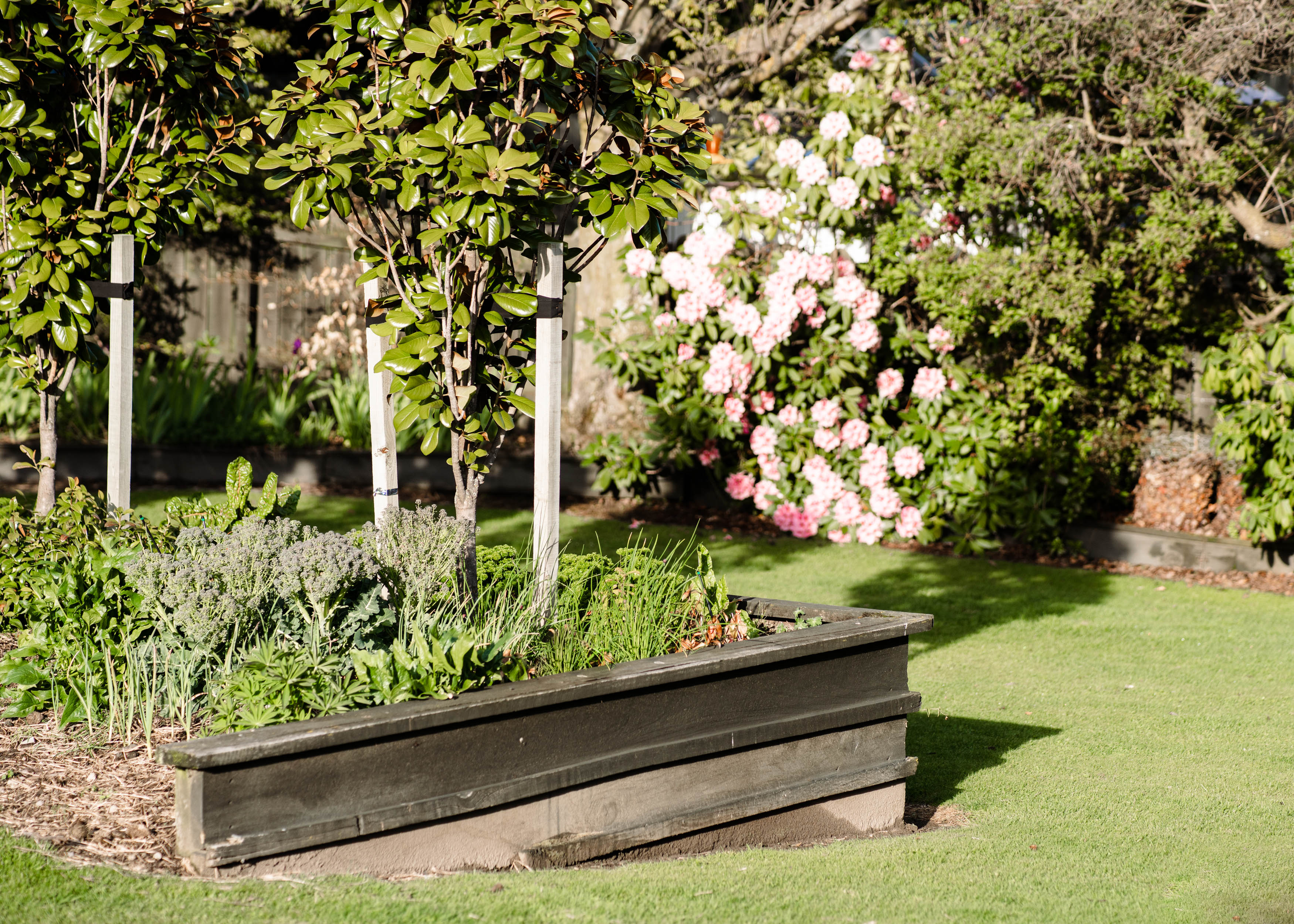 Gardening Advice NZ | Hiatt & Co.